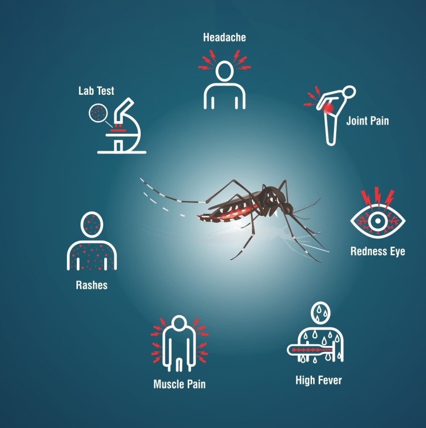 Dengue – Dr. Trigotra